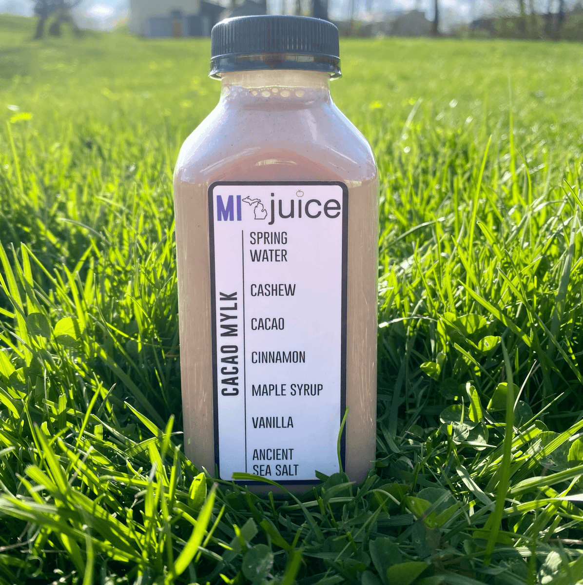Frozen Cacao Mylk (12 oz) Spring Water, Cashews, Maple Syrup, Cacao, C ...