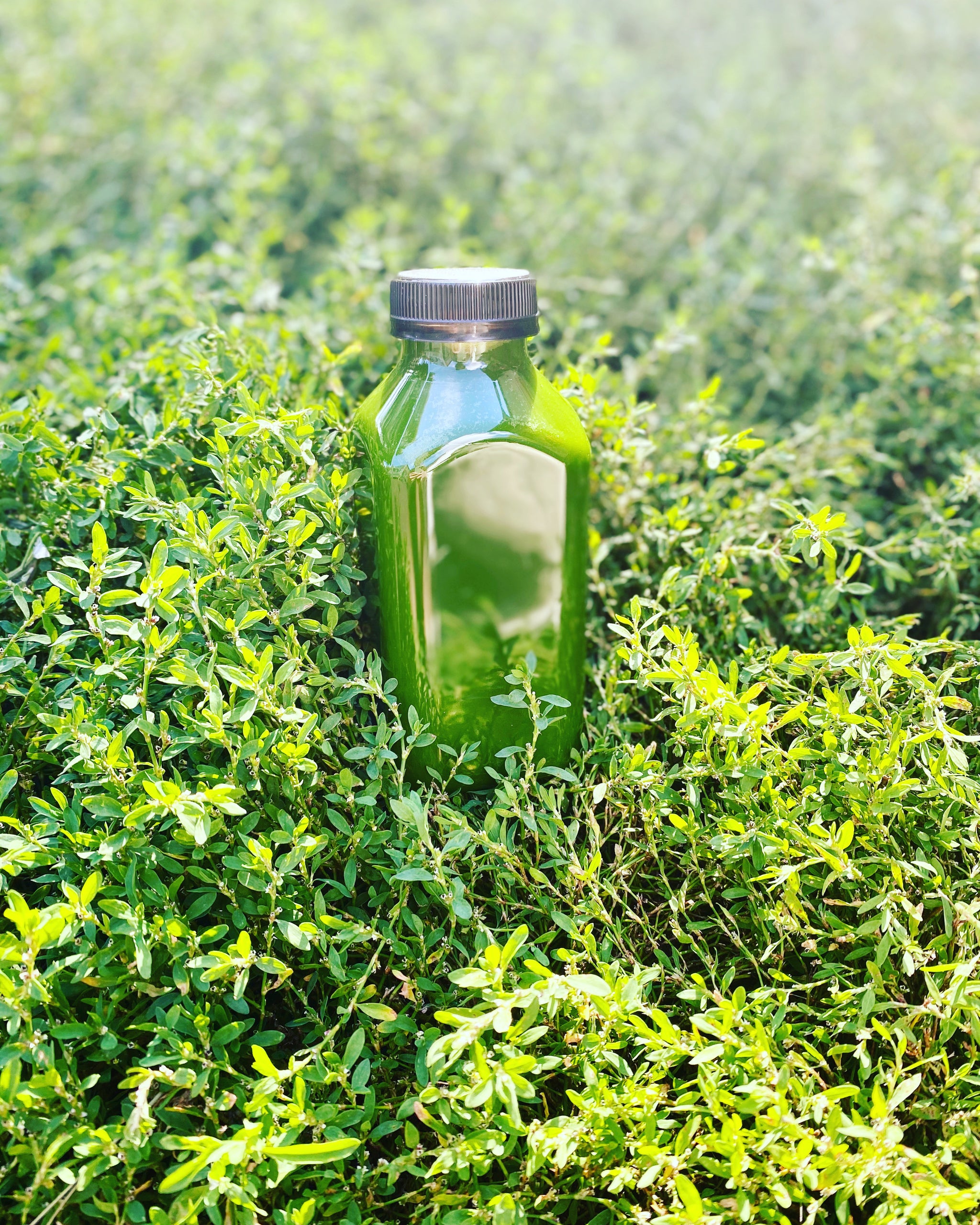 MiJuice: Unleash Wellness - Savor Premium Organic Cold-Pressed Juices